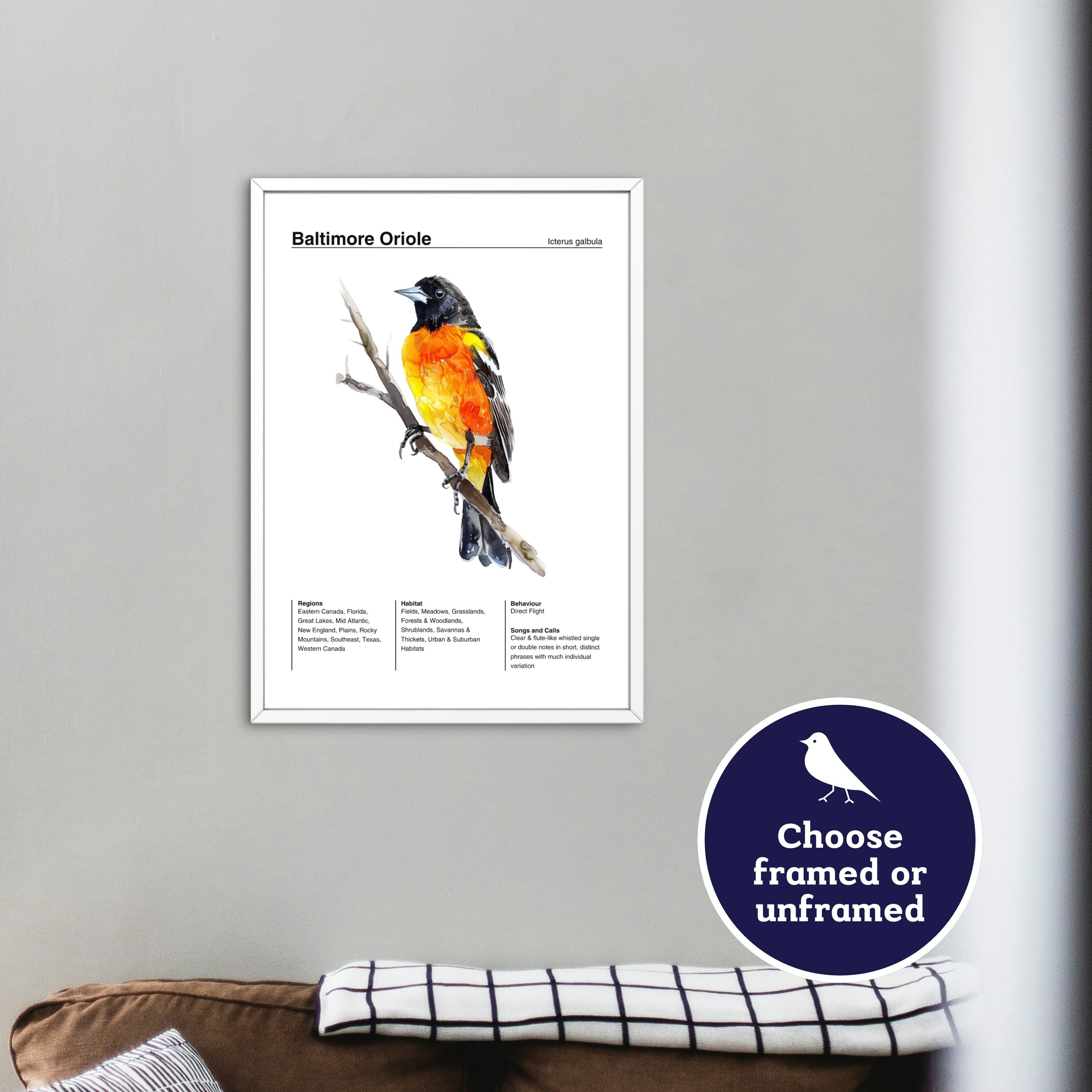 Bird Identification Poster, Birding Poster, Baltimore Oriole Bird ...