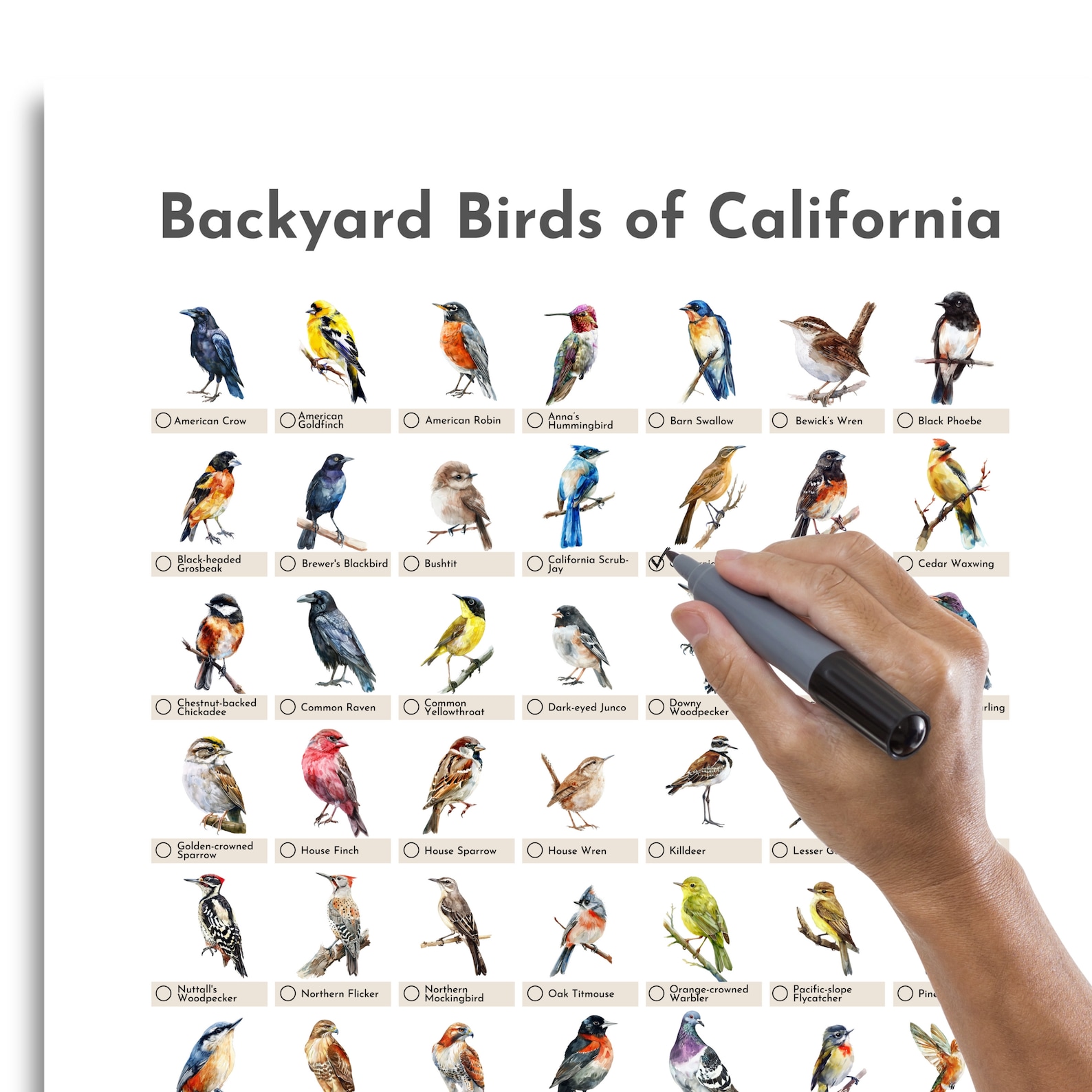 Backyard Birds of California Checklist Poster, Birding Checklist ...