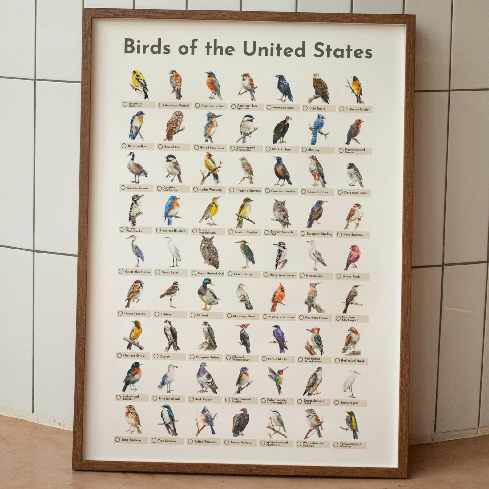 Birding Checklist Printable Digital Download, Birds of the USA Checklist Poster, Birding Life ...