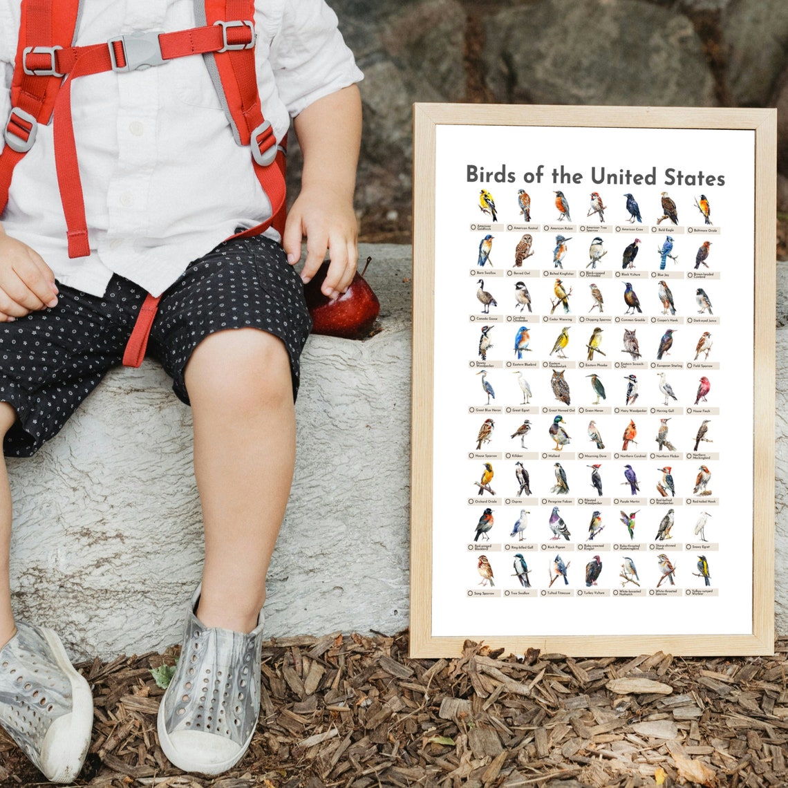 Birding Checklist Printable Digital Download, Birds of the USA ...