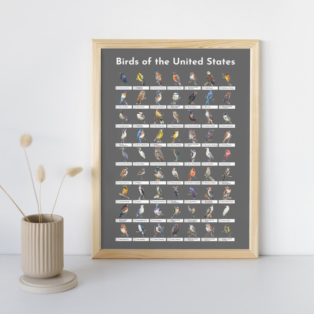Birds of the USA Checklist Poster, Birding Checklist, Birding Life List ...