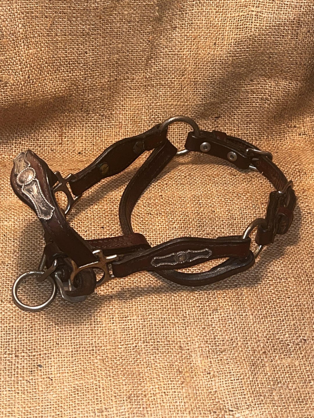LEATHER HALTER With SILVER Pony, Weanling, Goat, Calf Show or Training ...