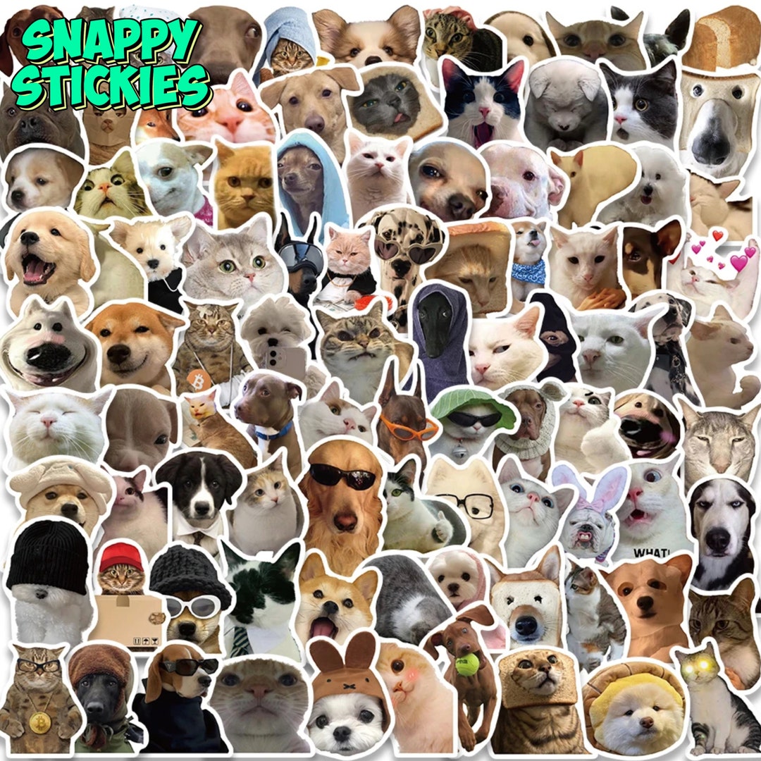 Cat Meme Stickers Dog Meme Stickers Funny Cat Stickers Funny Dog ...