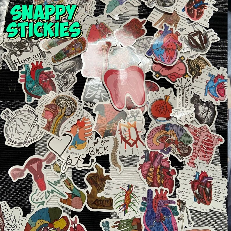 Anatomy Body Parts Sticker Pack Body Organs Stickers Study Stickers ...