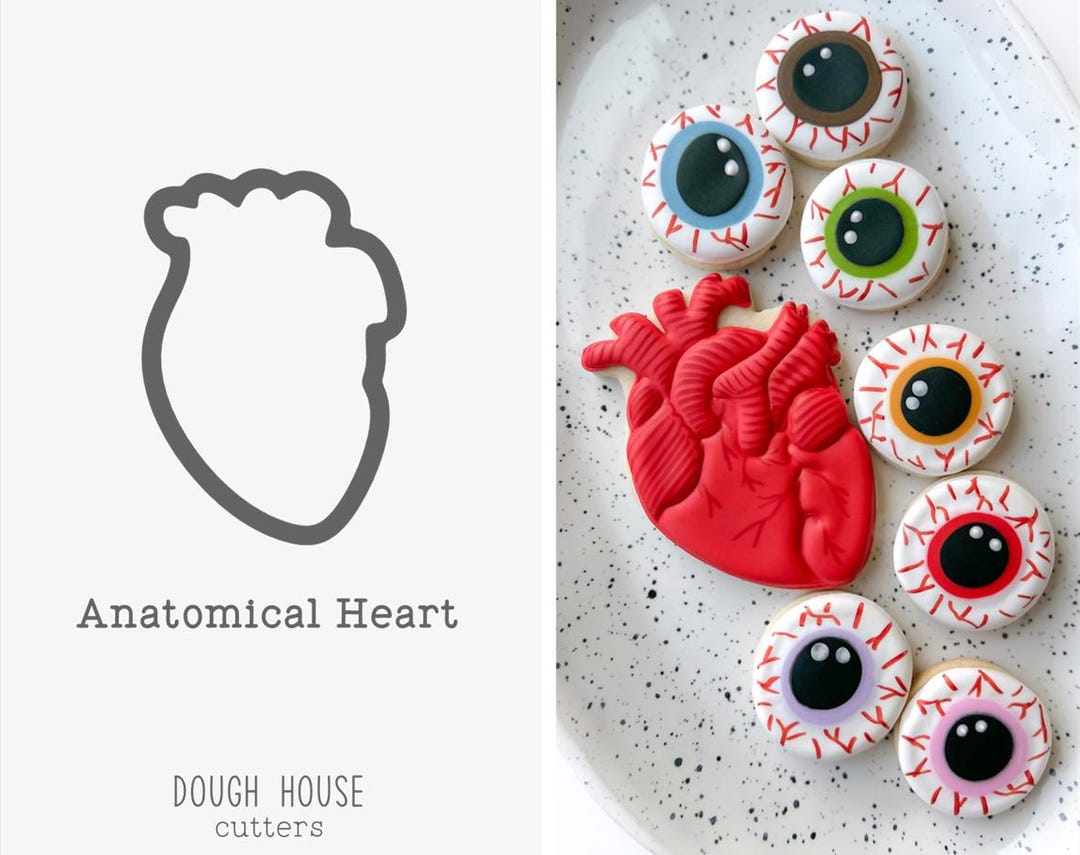 Anatomical Heart Cookie Cutter - Etsy