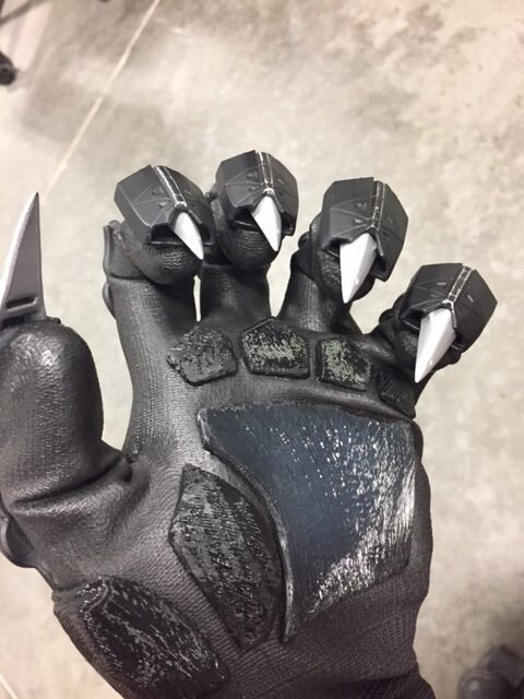 Real Black Panther Claws