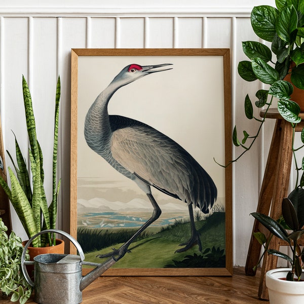 Whooping Crane - Etsy