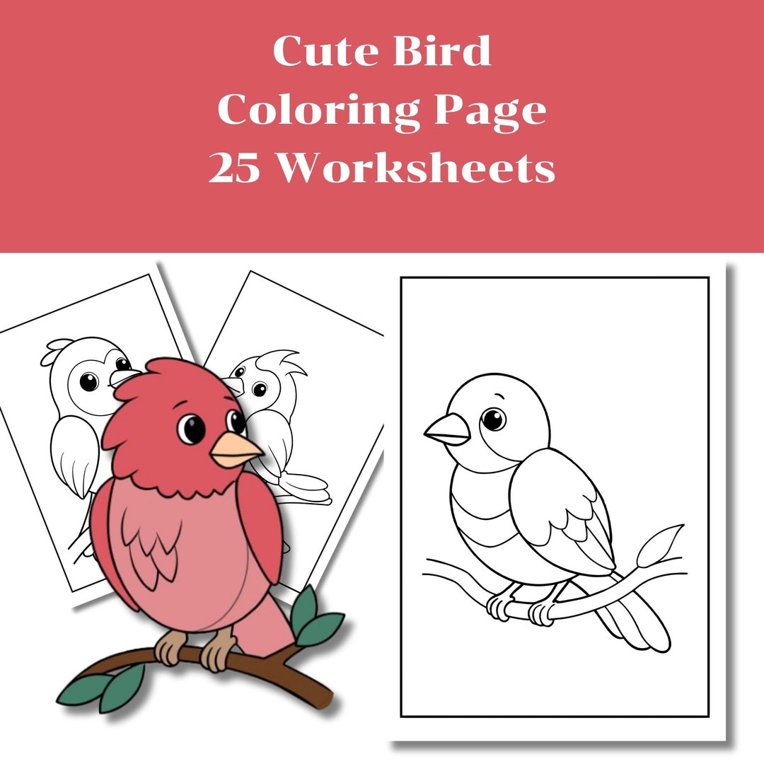 Cute Bird Coloring Pages, Coloring Sheets, Preschool, Worksheets - Etsy