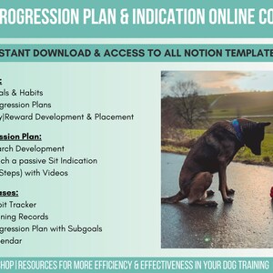 Scent Work Online Course progression Plans & Passive Indication Dog ...
