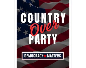 Defend Democracy Bumper Sticker - Etsy