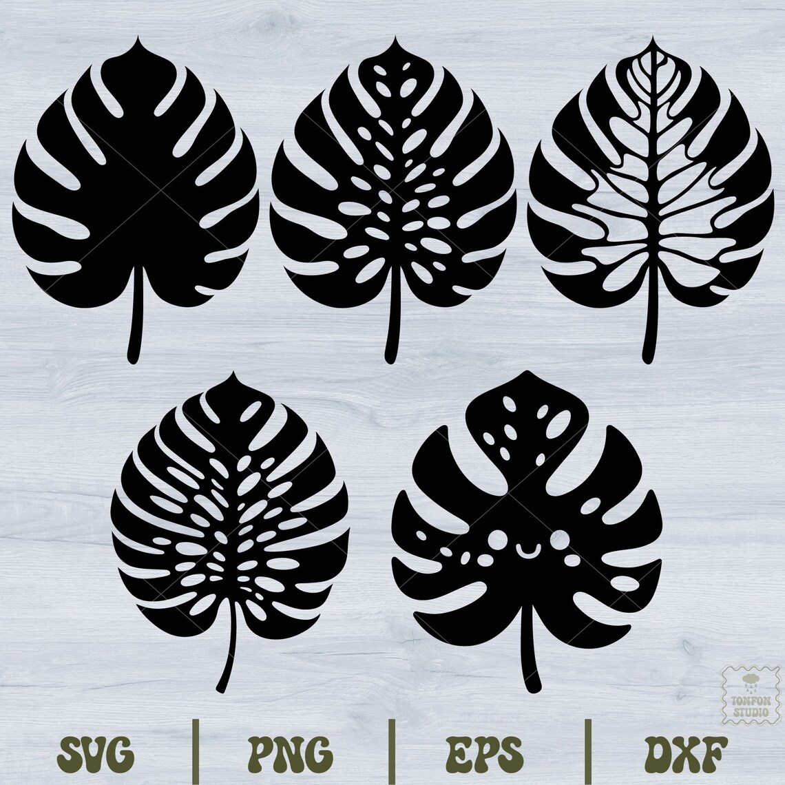 Monstera Svg, Monstera Leaf Svg, Monstera Silhouette Svg, Monstera ...