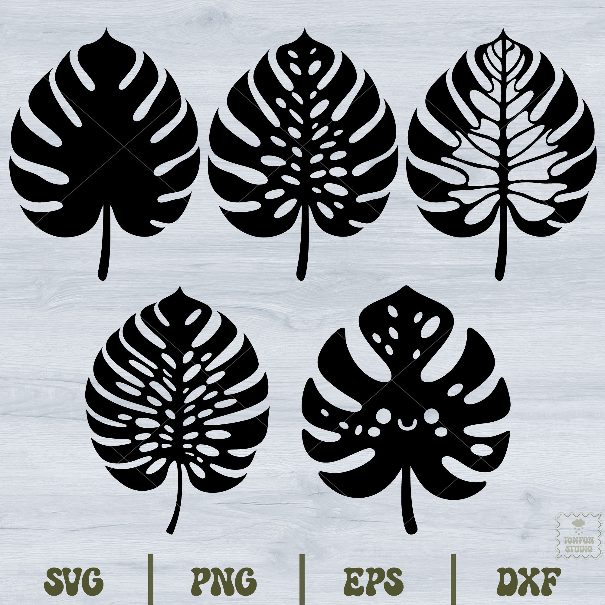 Monstera Svg, Monstera Leaf Svg, Monstera Silhouette Svg, Monstera ...