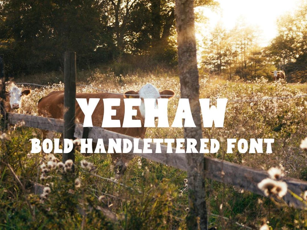 Yeehaw: Hand Lettered Font, Handmade Font, Handmade Brush Font, Bold ...
