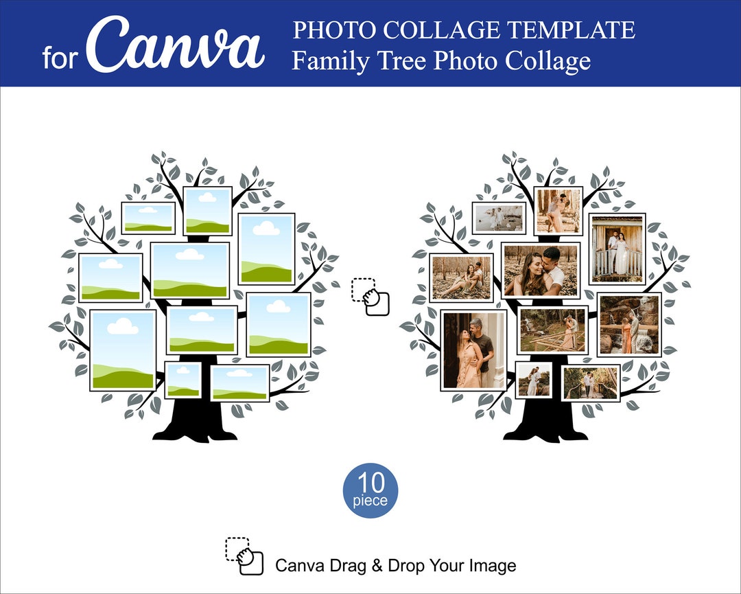 Family Tree Photo Collage for Canva Inside 10pcs Photo Tree Template ...
