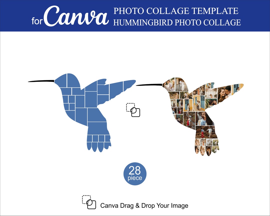 Canva Hummingbird Collage Templates 28pcs Inside Editable Canva for a ...