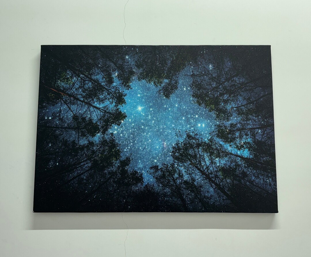 Starry Sky Wall Art, Night View Art, Forest Landscape Art, Landscape ...