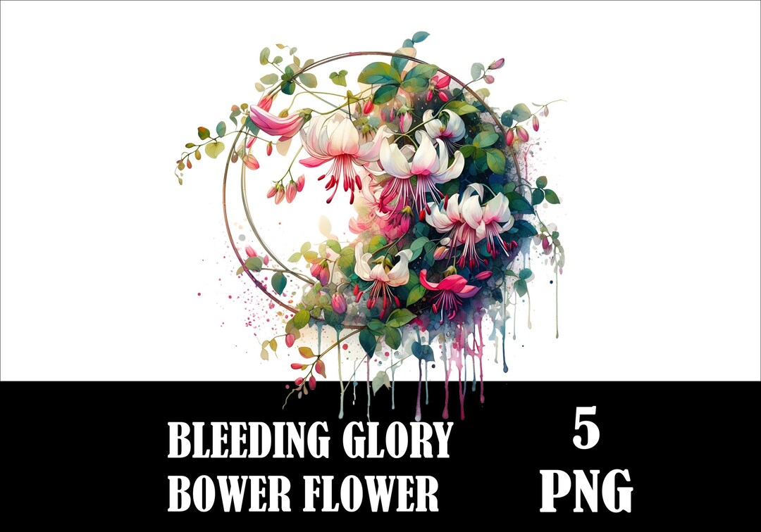 Bleeding Glory Bower Flowers Clipart Png Download Sublimation Template ...
