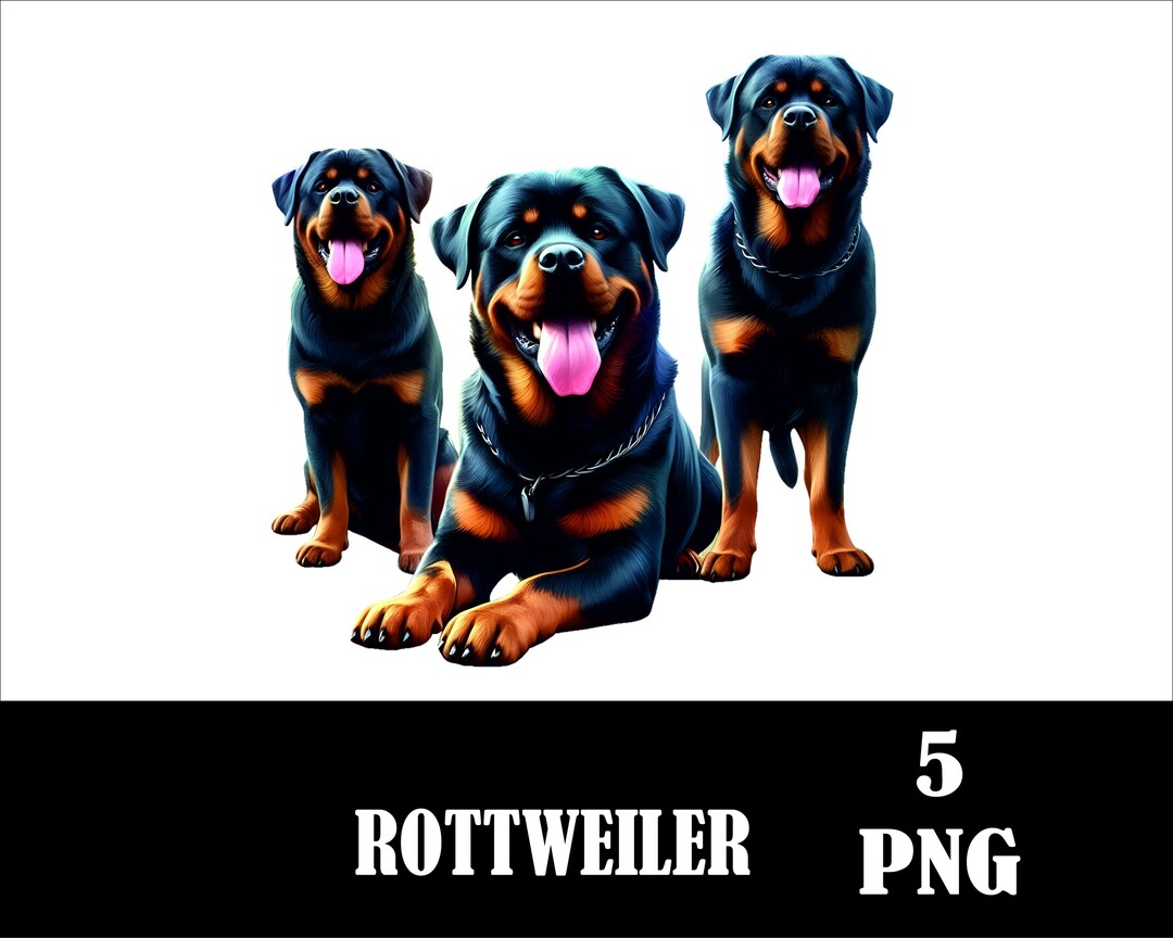 Rottweilers Dog Png Download Sublimation Template Digital File T-shirt ...