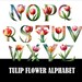 Tulip Flower Alphabet Font Clipart Png Download Sublimation Template ...