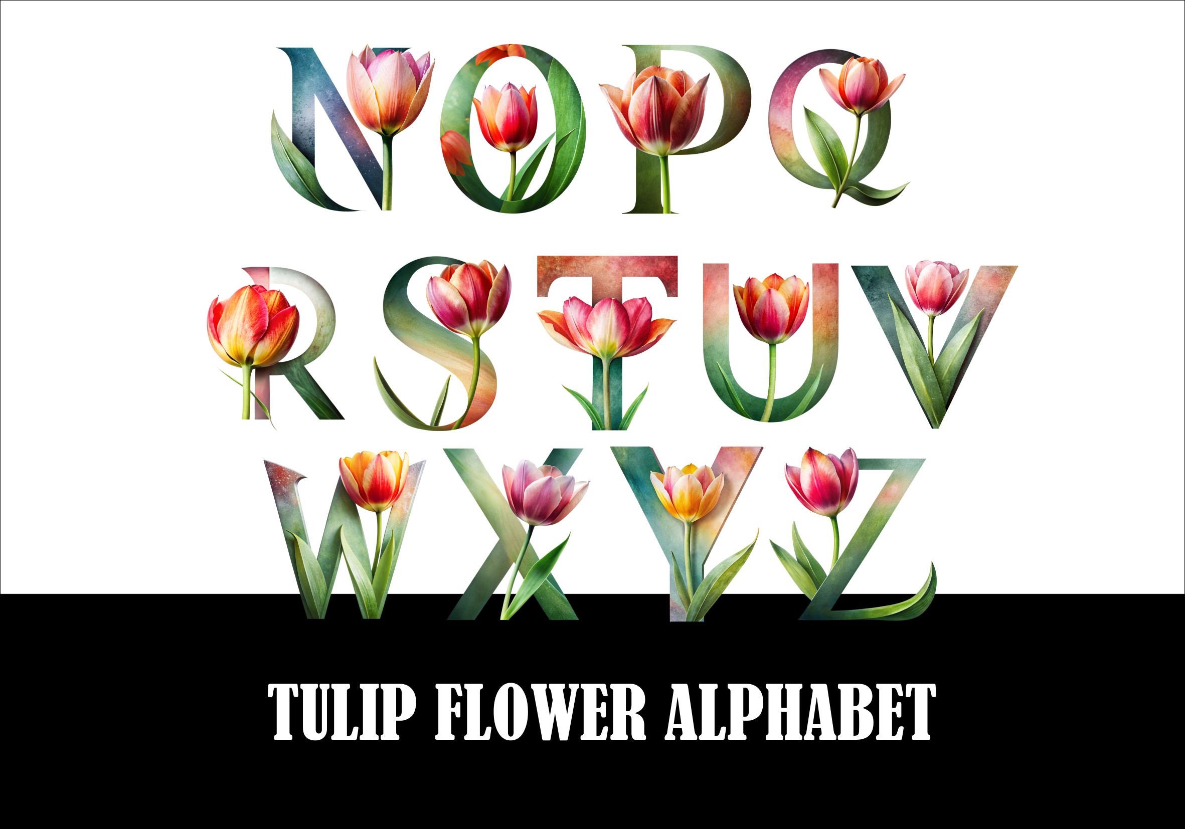 Tulip Flower Alphabet Font Clipart Png Download Sublimation Template ...