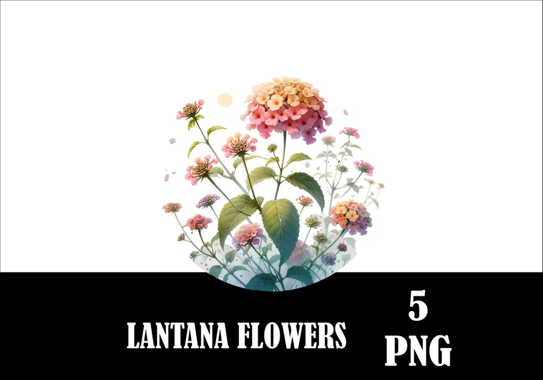 Lantana Flowers Clipart Png Download Sublimation Template Digital File ...
