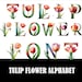 Tulip Flower Alphabet Font Clipart Png Download Sublimation Template ...