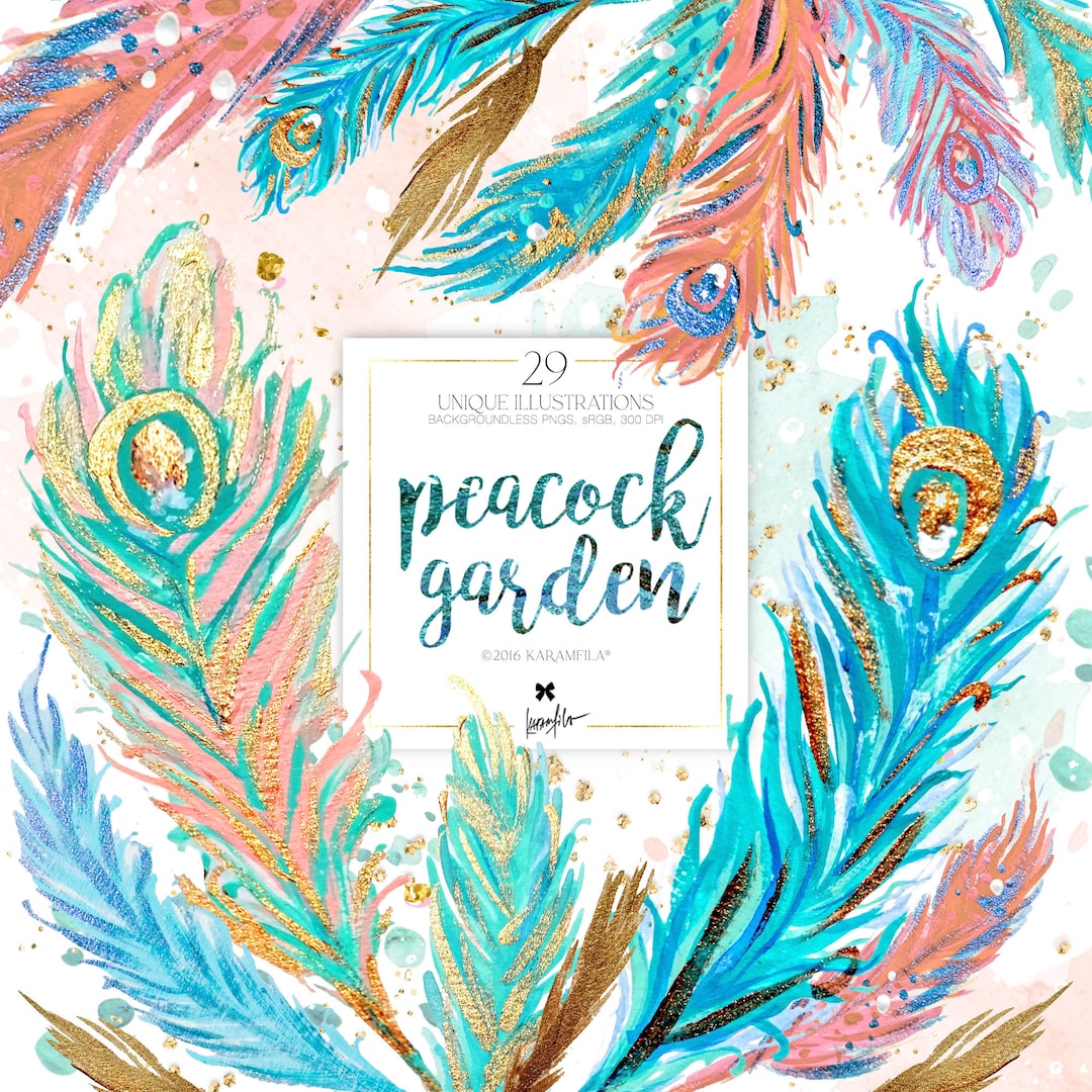 Boho Feathers Clipart Karamfilas Peacock Feathers Planner Stickers ...