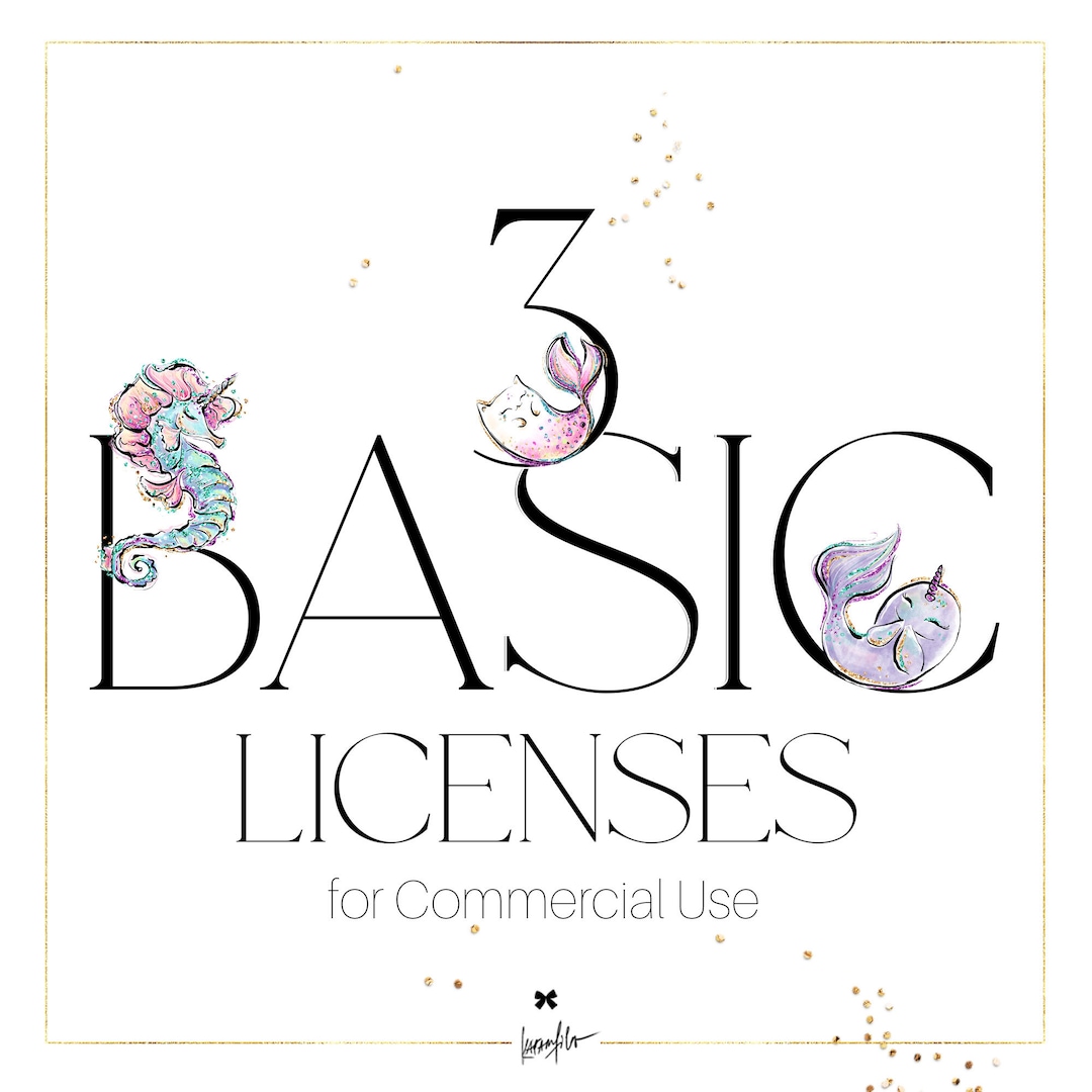 3 Basic Commercial Use Licenses: Clip Art & Paper Packs - Etsy