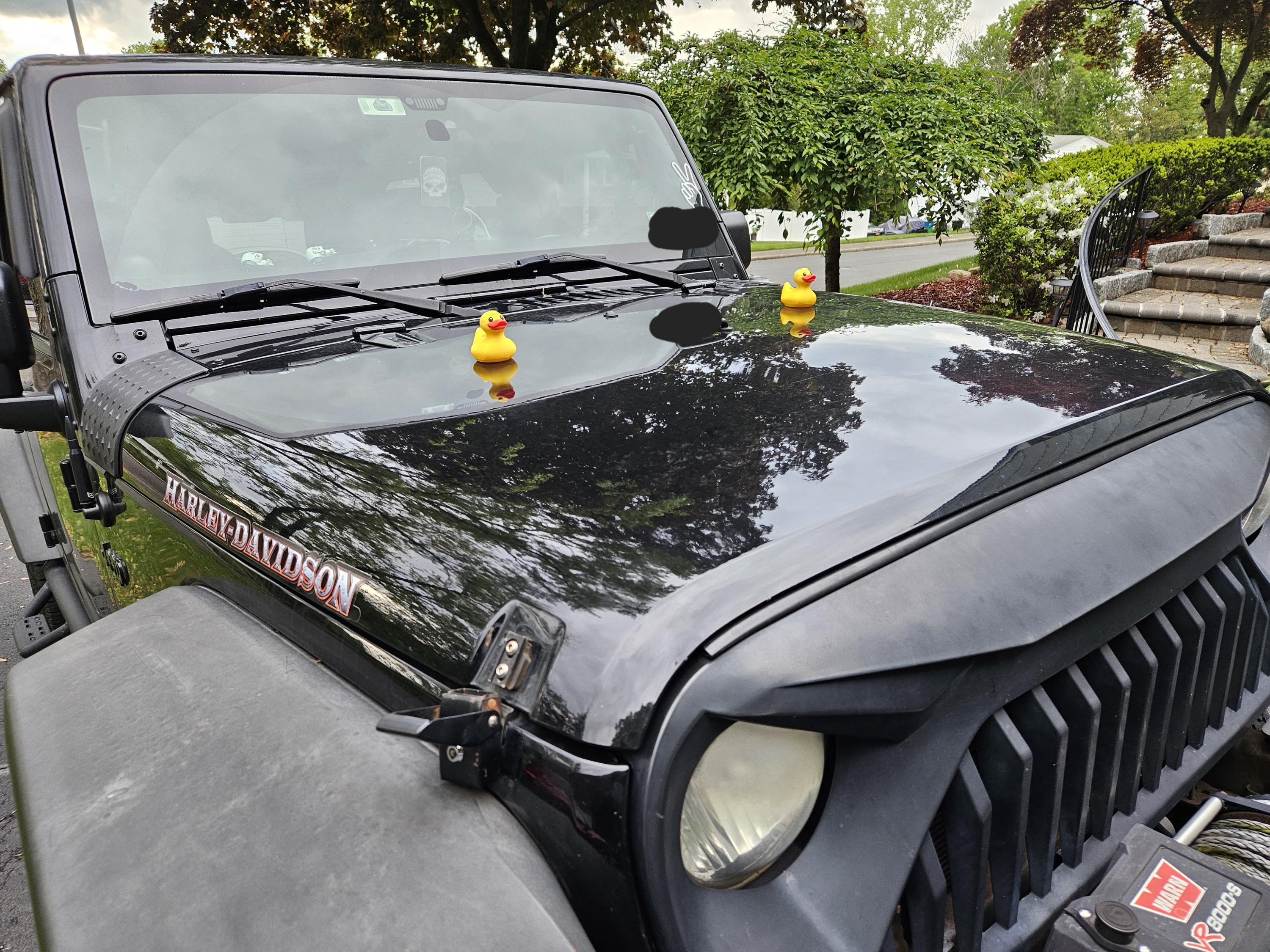 Rubber Ducky Hood Bumper | Jeep Wrangler Hood Accessory - Etsy
