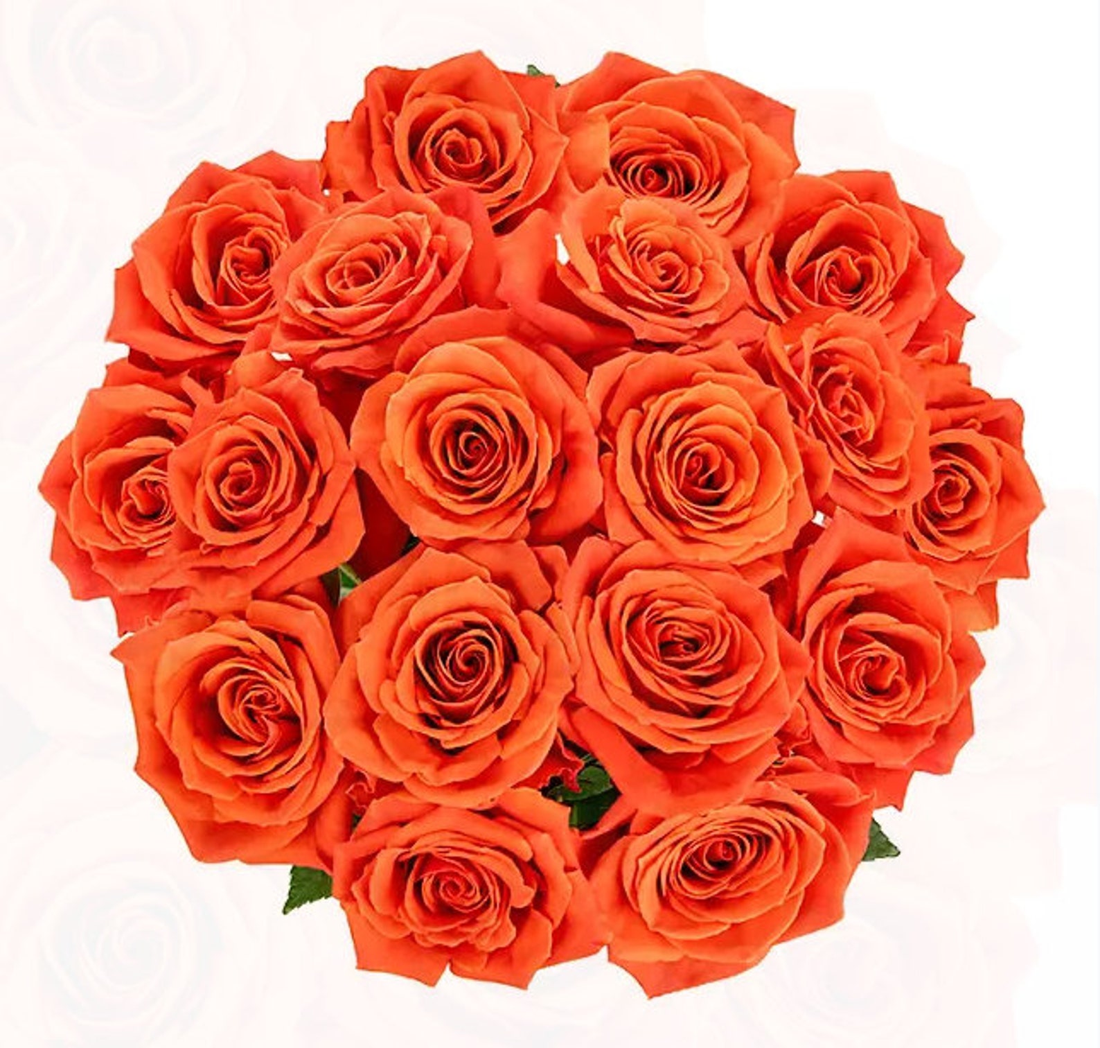 A Dozen Roses Wrapped Bouquet - Flower Delivery - Many Color Choices - Etsy