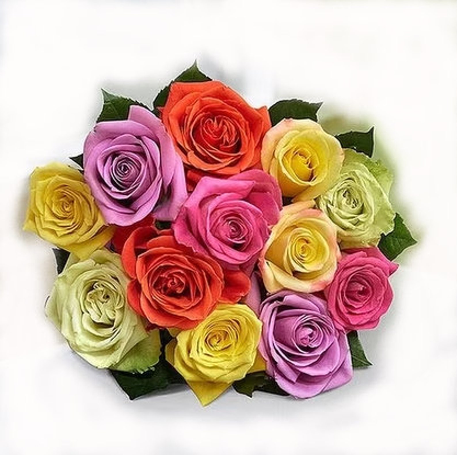 A Dozen Roses Wrapped Bouquet - Flower Delivery - Many Color Choices - Etsy