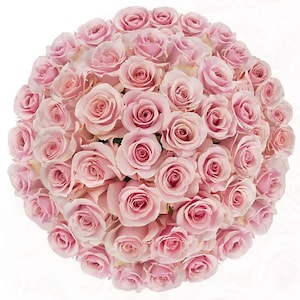 A Dozen Roses Wrapped Bouquet - Flower Delivery - Many Color Choices - Etsy