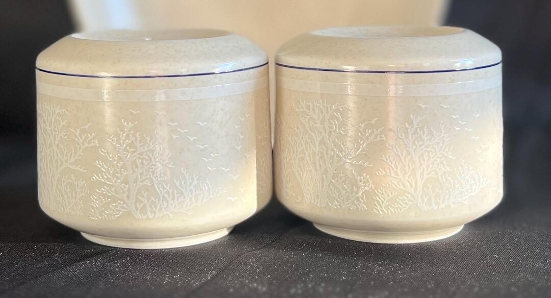 Lenox Silhouette Temperware | Salt & Pepper | Cereal Bowl - Etsy