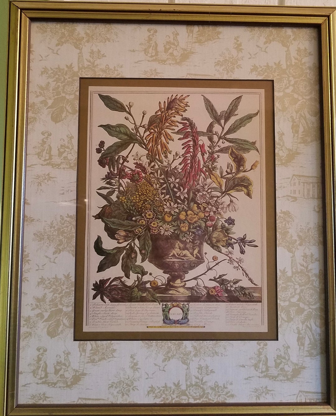 Vintage Framed Art Print - Robert Furber’s Twelve Months of Flowers - Etsy