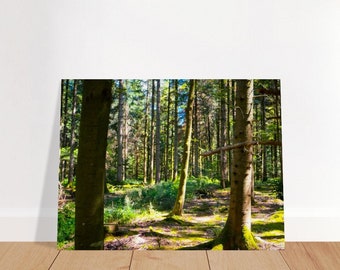 Murrhardt Winter Poster in Museum Quality - Etsy