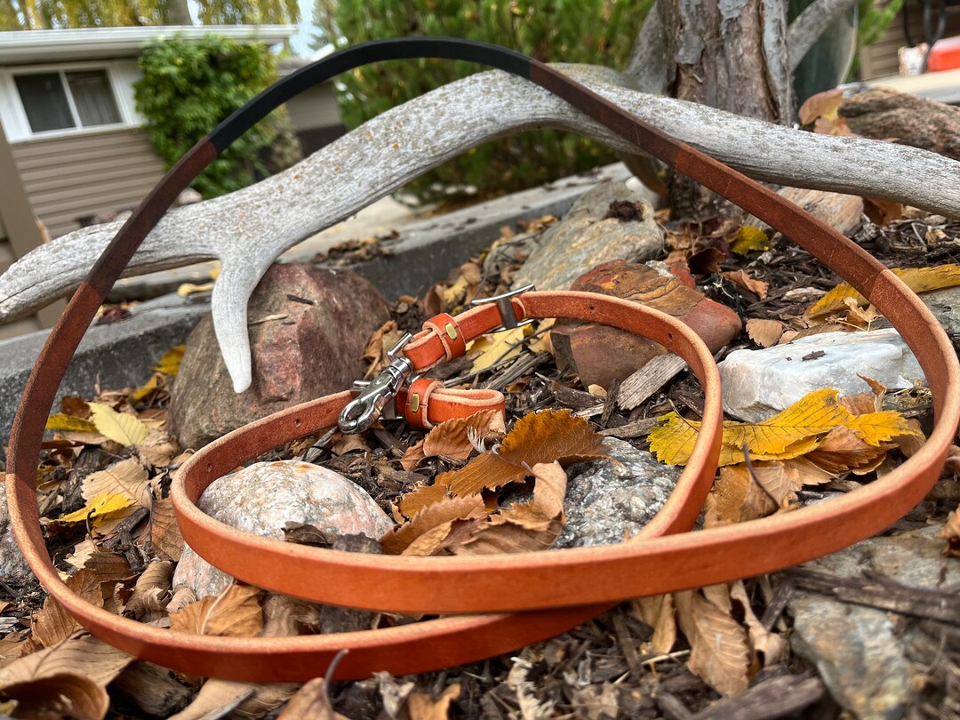 The Harmony Training Rein - Etsy