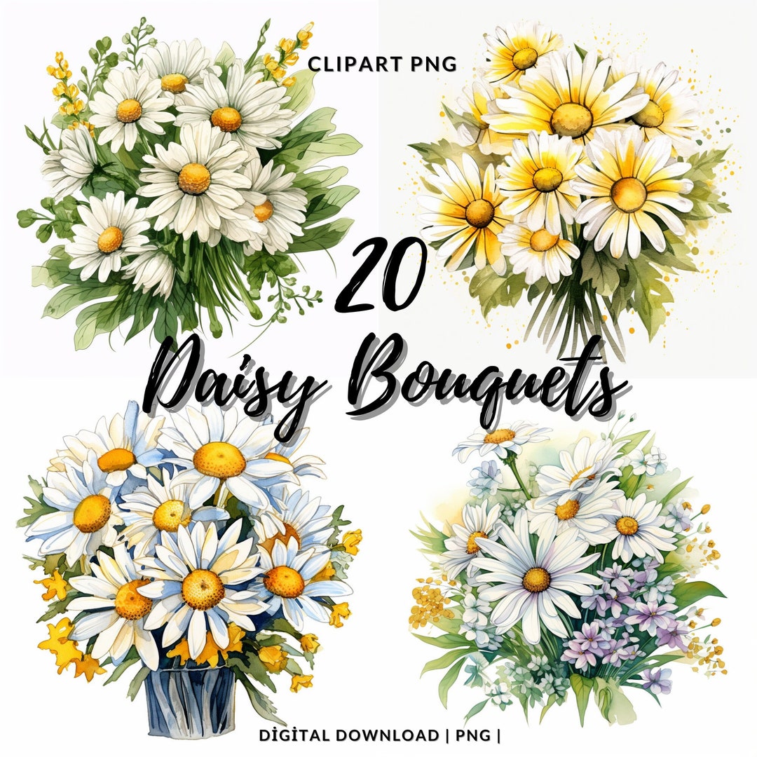 Daisy Clipart PNG - 20 Spring Floral PNG , Daisy Bouquets Clipart ...