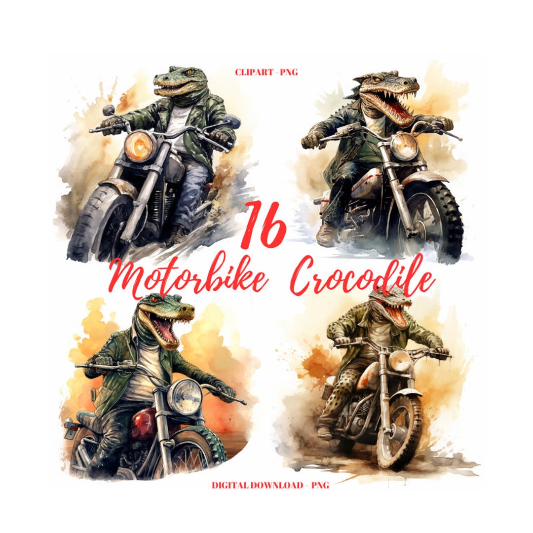 Crocodile Clipart PNG, 16 Watercolor Crocodile Motorcycle PNG, Animal ...