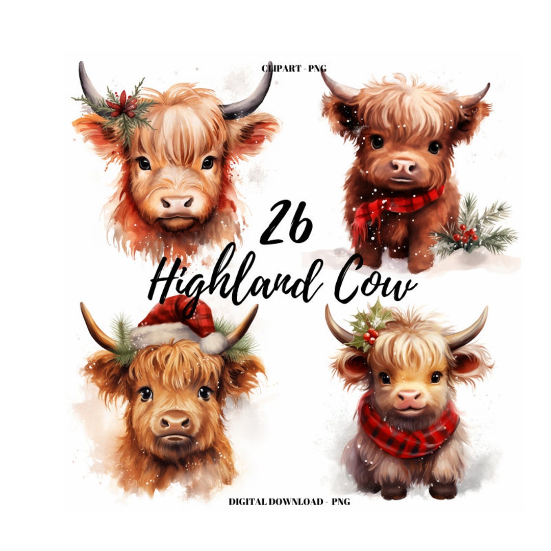 Christmas Highland Cow Clipart PNG, 26 Christmas Baby Cow Images Bundle ...