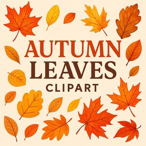 25 Autumn Leaves Clipart, Fall Leaf PNG Bundle, Watercolor Autumn ...