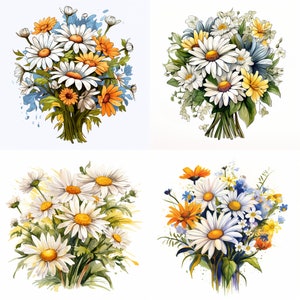 Daisy Clipart PNG - 20 Spring Floral PNG , Daisy Bouquets Clipart ...