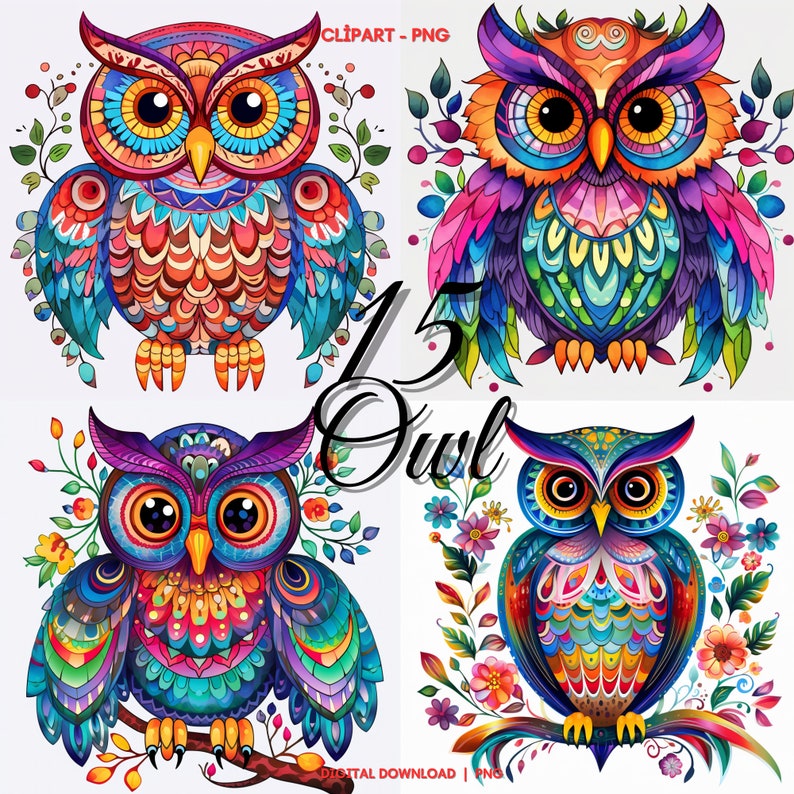 Colorful Owl Clipart PNG Bundle: 15 Animal Illustrations (digital Paper ...
