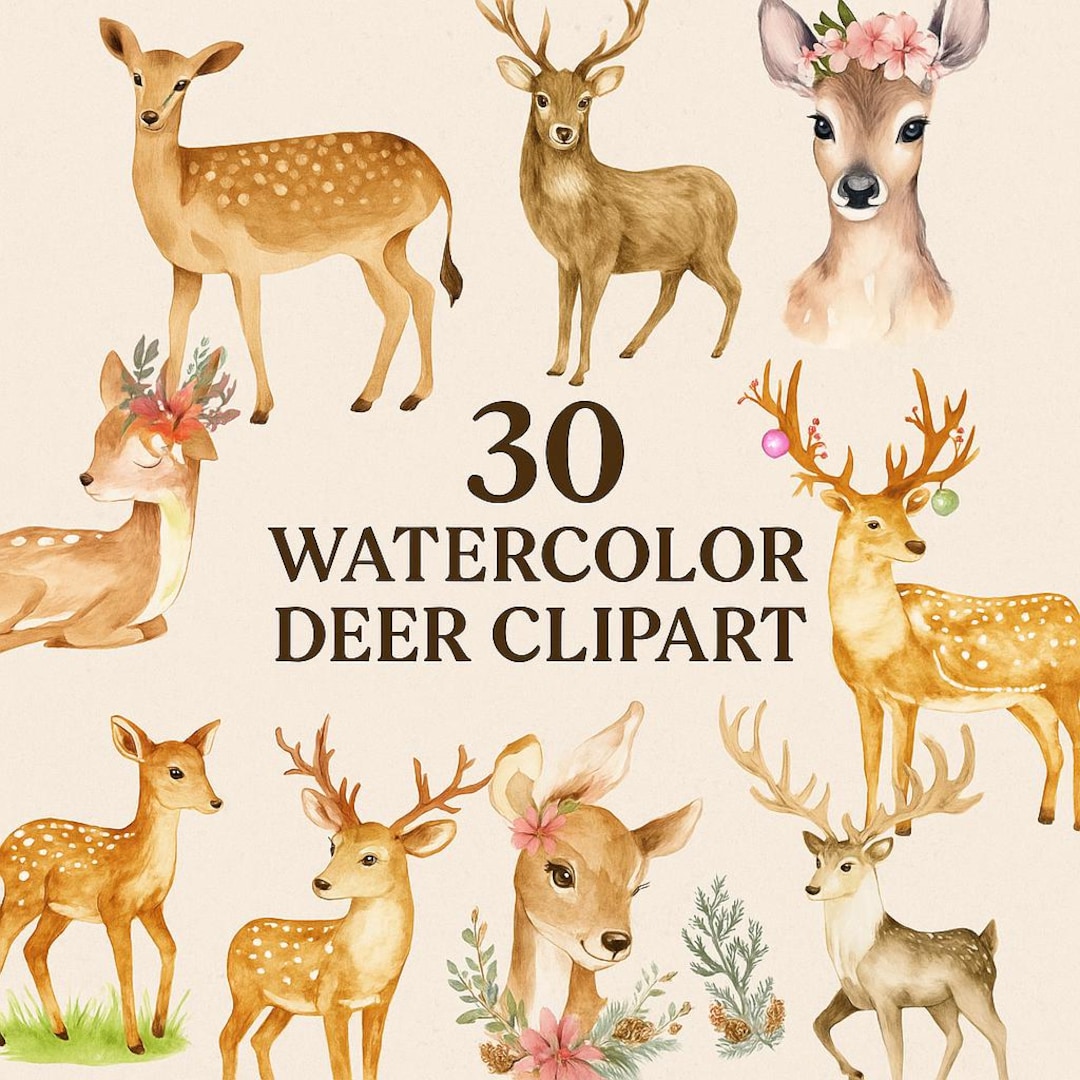 Watercolor Deer Clipart: Woodland Animals PNG Bundle (digital Download ...