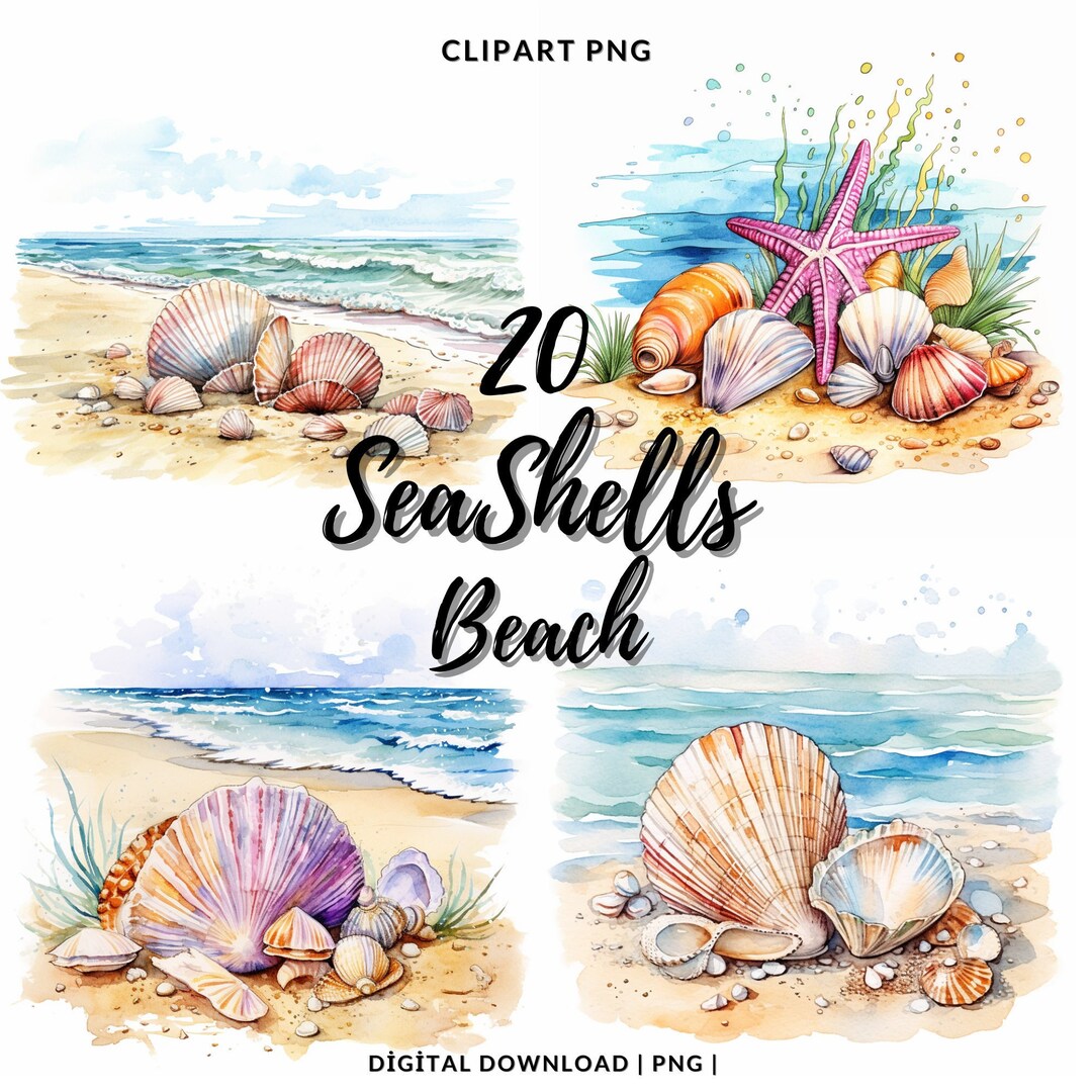 Seashells Clipart PNG , 20 Beach Clipart , Nautical Clipart Bundle ...