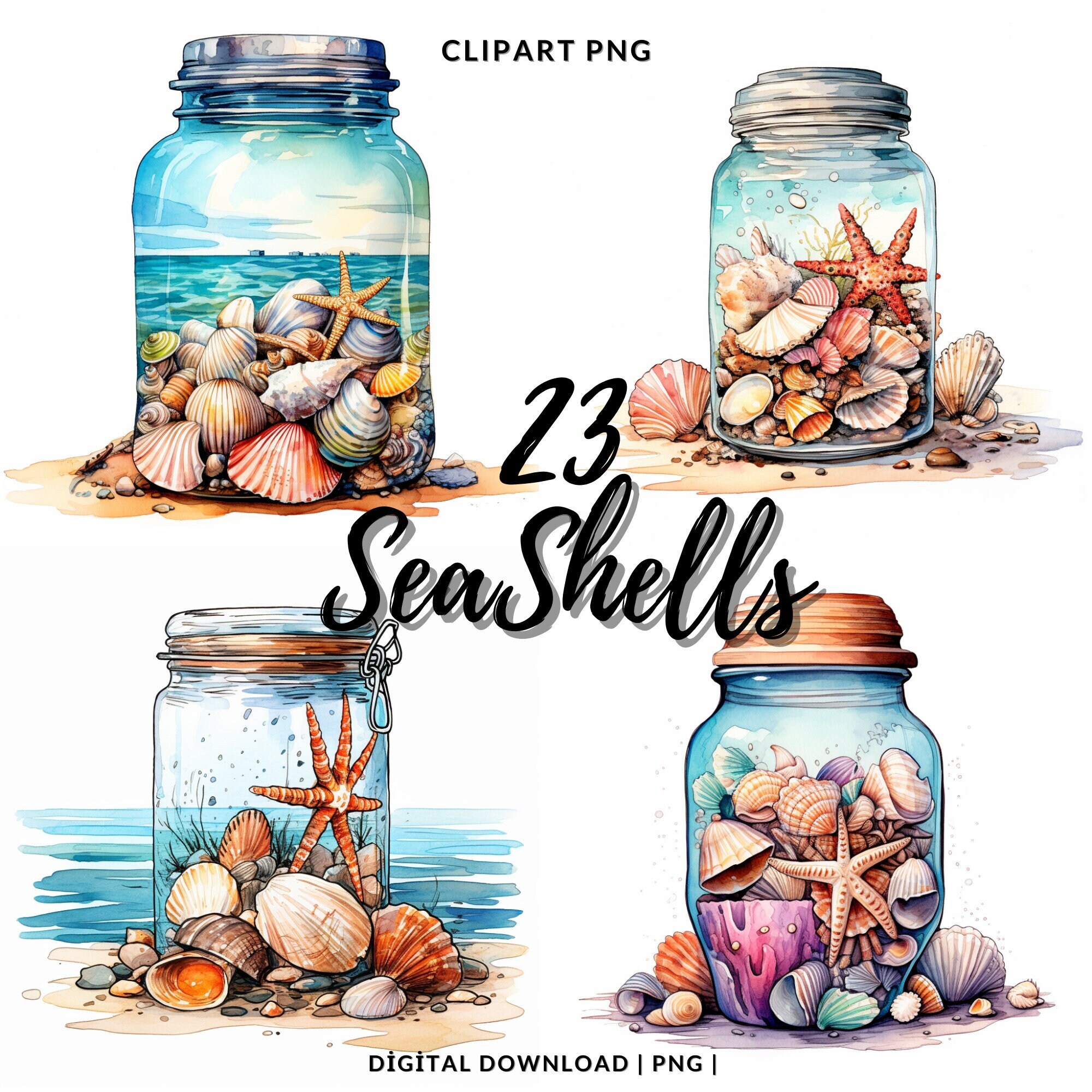 Seashells Jar Clipart PNG , 23 High Quality PNG Ocean Jar Clipart , Seashells Jar Watercolor ...