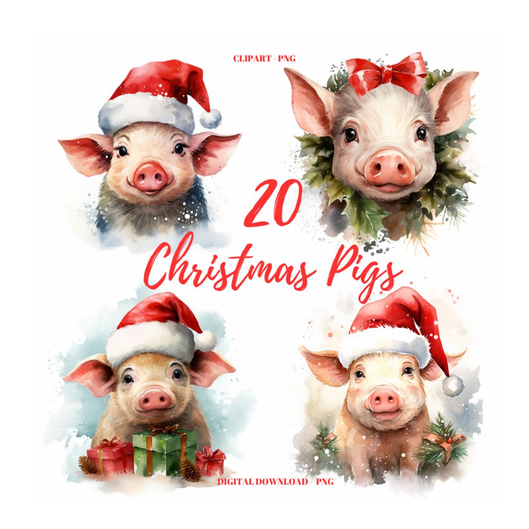Christmas Pig PNG Clipart, 20 Watercolor Adorable Xmas Pig Images ...