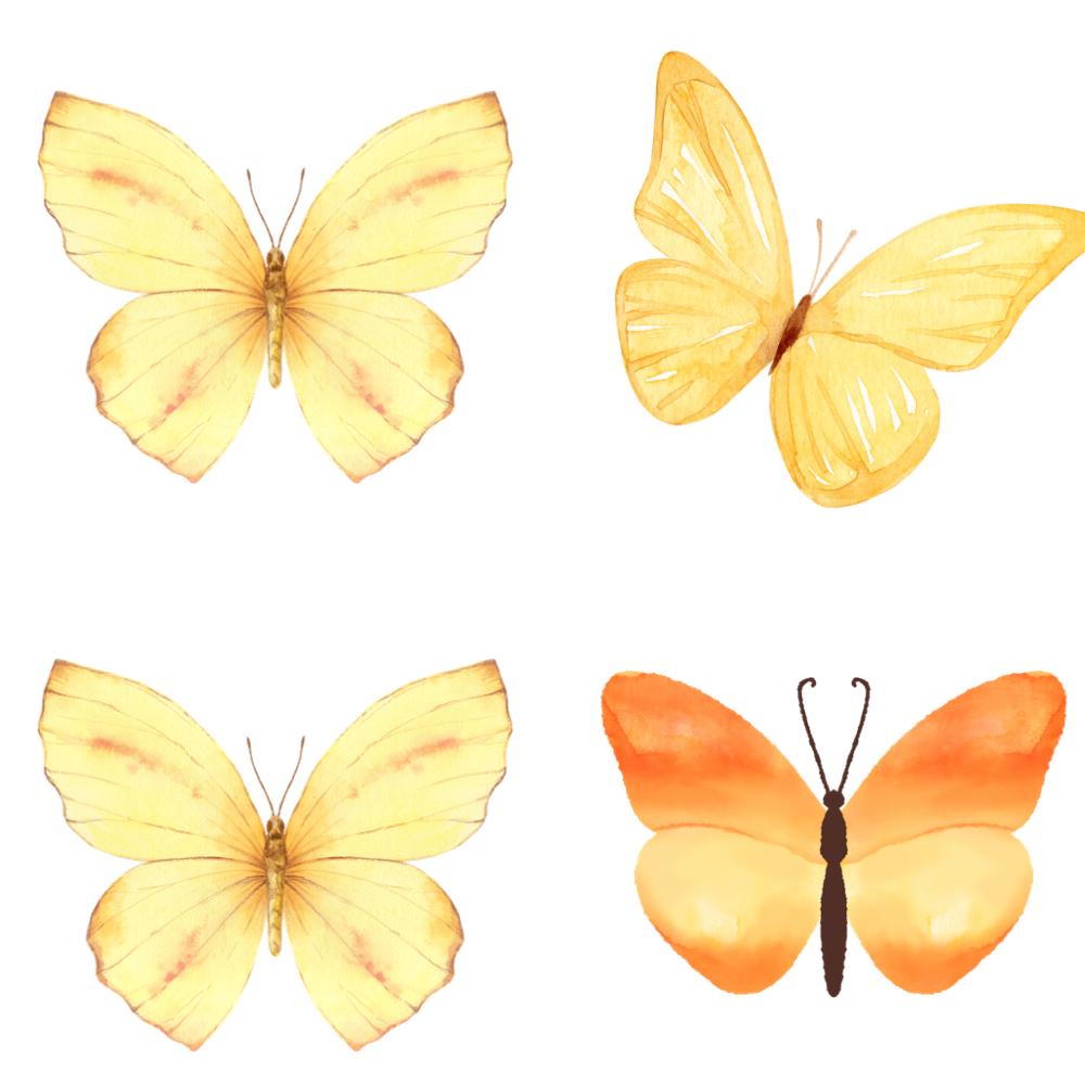 30 Watercolor Butterfly Clipart, Pastel PNG Transparent Background - Etsy