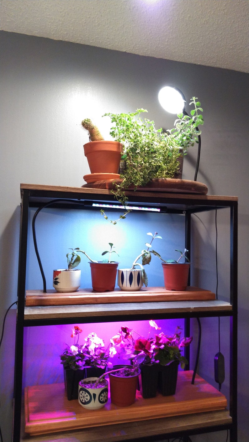 Plant Growing LED Light With XL Wide Base / Indoor Full Spectrum LED ...