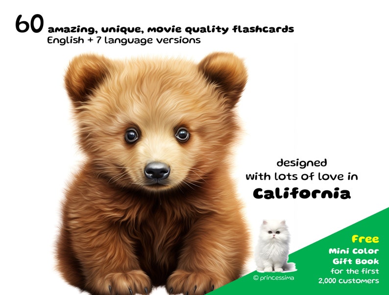 60 Baby Animal Flash Cards, Spanish Montessori, Pre-school Cards ...