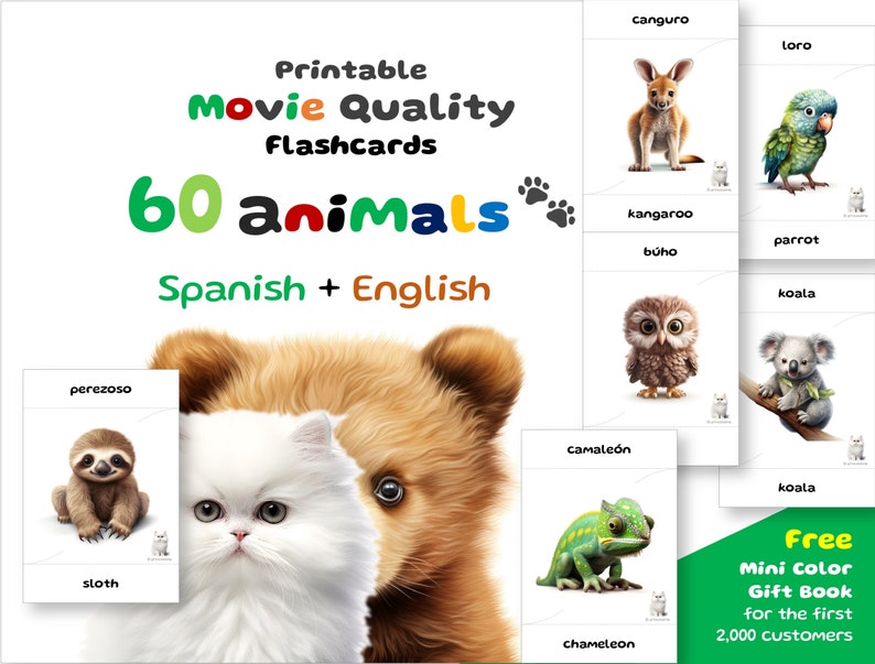 60 Baby Animal Flash Cards, Spanish Montessori, Pre-school Cards ...